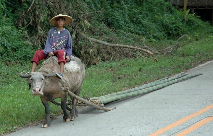 The Bilaan Tribe of Southern Mindanao | ThingsAsian